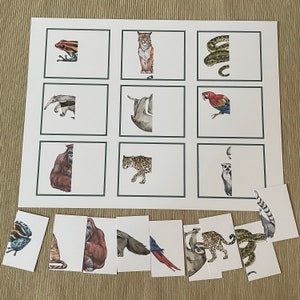 Rainforest Animals Puzzle Halves Matching. Montessori Toddler Printable ...