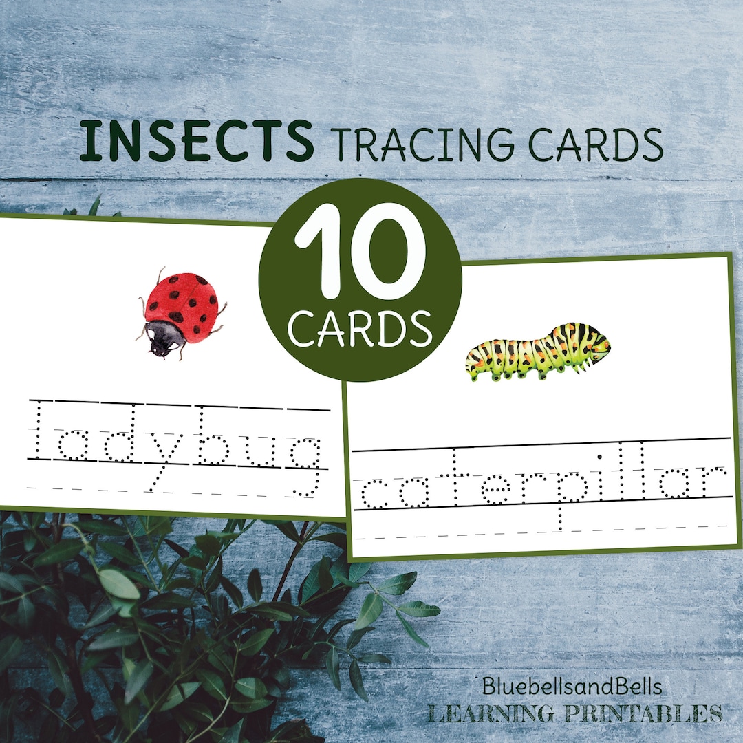 Insect Cards Tracing. Spring Preschool and Kindergarten Printable ...