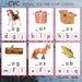 Phonics Printable CVC Word Clip Cards. Beginning Sound Printable ...