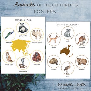 Animals of the Continents Posters and Sorting Activity. Montessori ...