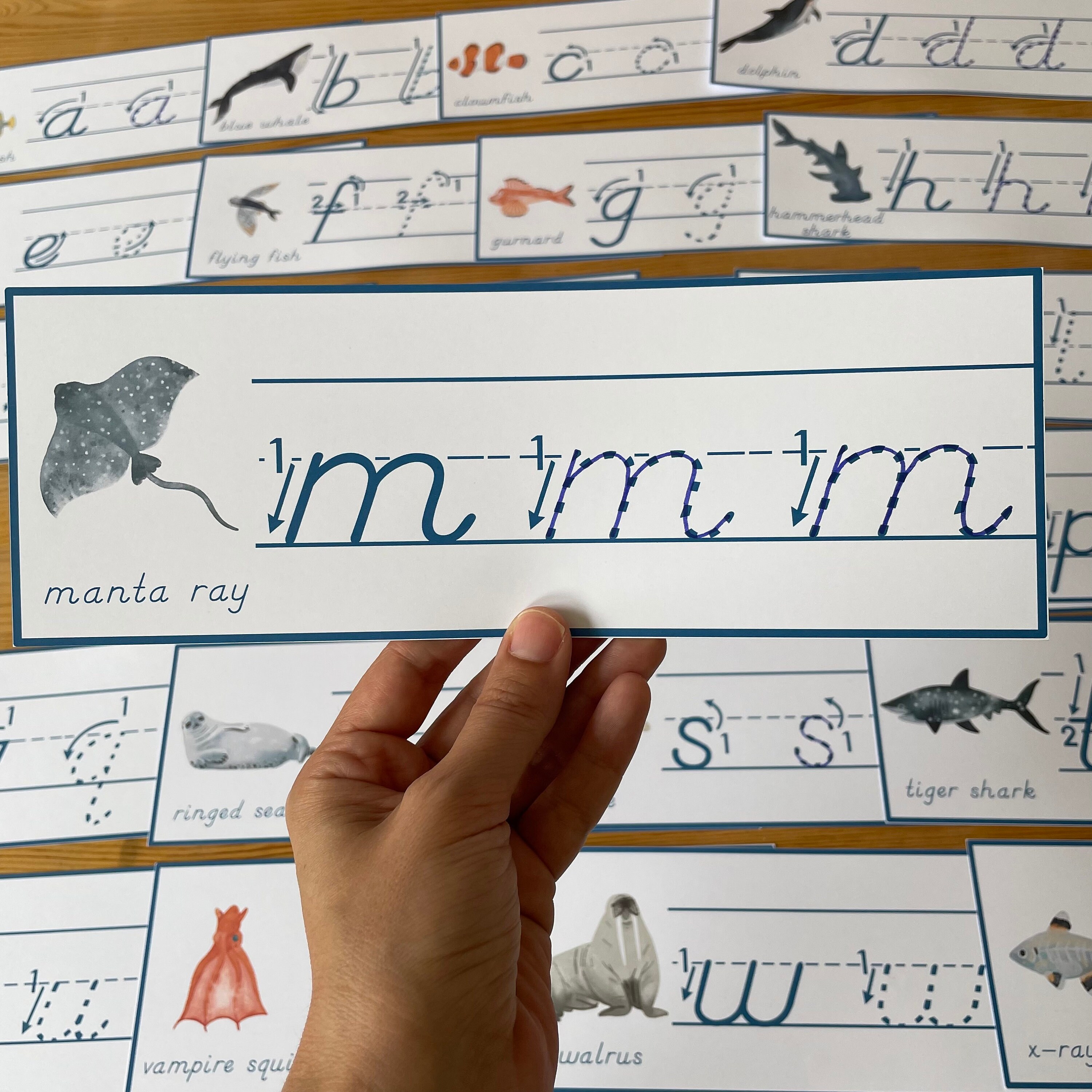 Ocean Alphabet Cards Tracing. Lowercase Manuscript Letter Handwriting ...