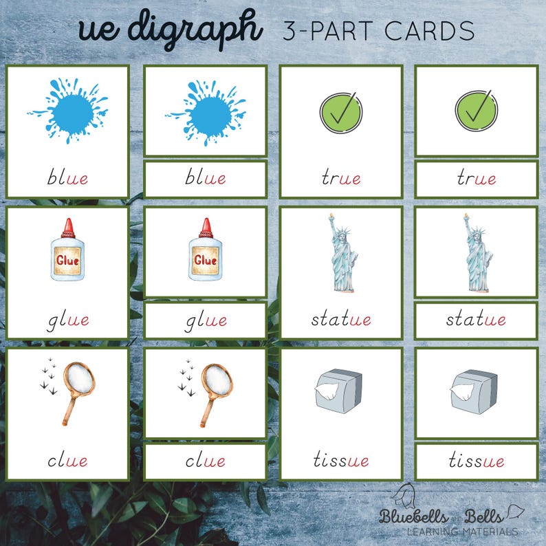Montessori Printable Digraph 3-part Cards. Green Series Activity. - Etsy