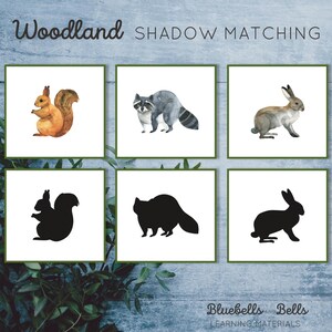 Woodland Animal Montessori Printable Shadow Matching Cards. Toddler ...