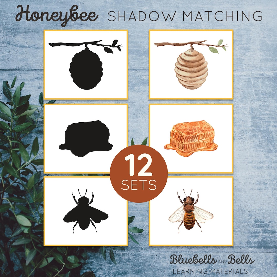 Honeybee Printable Shadow Matching Cards. Preschool Insect Activity ...