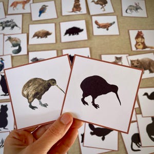 Australia Animal Cards Shadow Matching. Montessori Toddler Printable ...