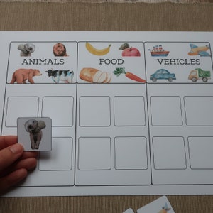 Toddler Category Sorting Printable. Montessori Matching Activity. - Etsy