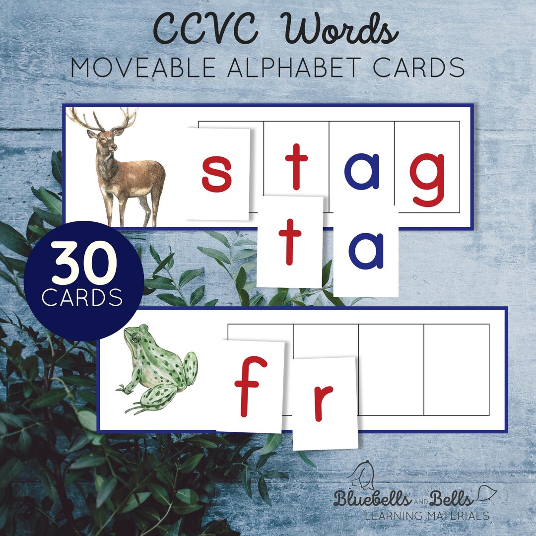 Montessori Printable Moveable Alphabet and CCVC Word Letter Matching ...