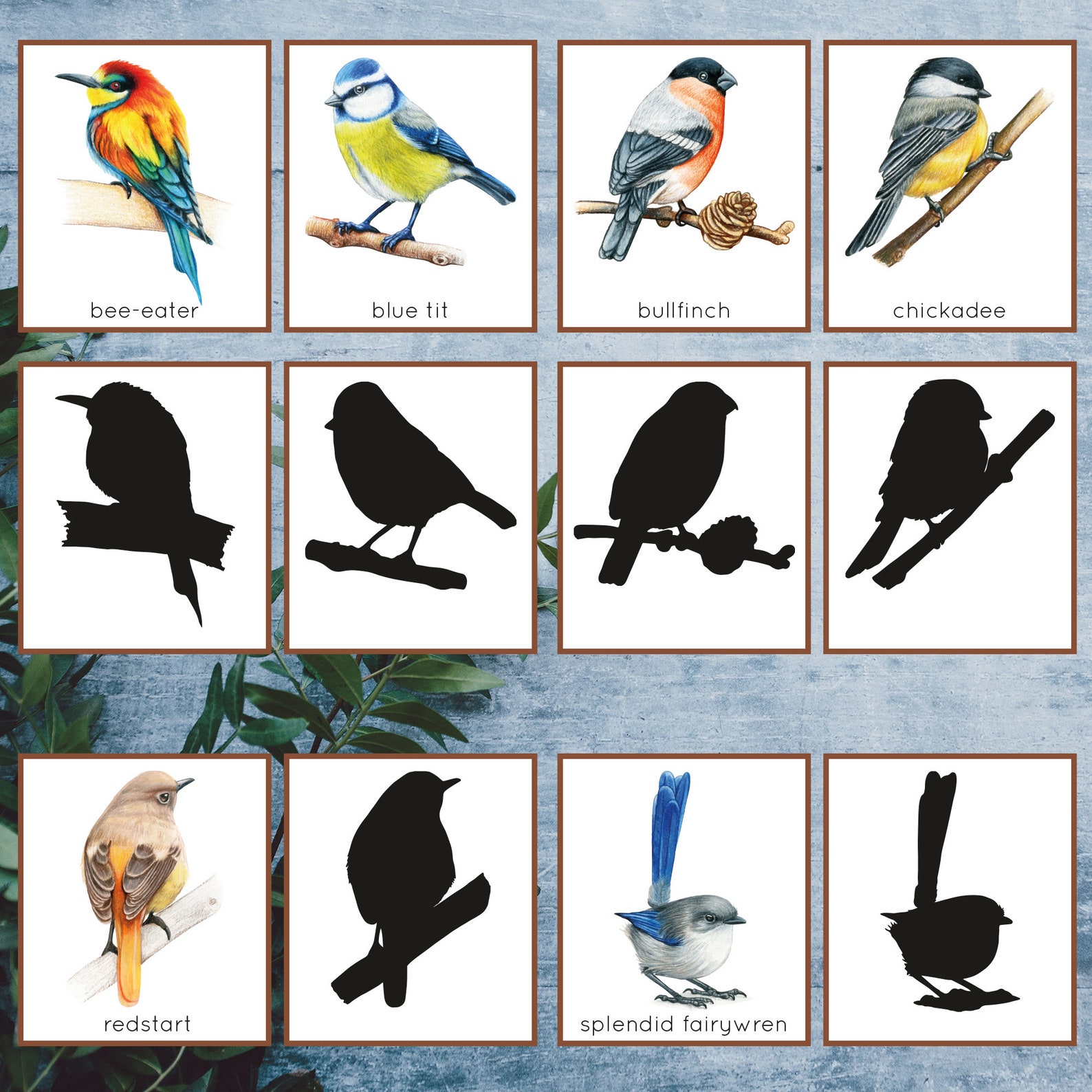 Bird Shadow Matching Flash Cards. Montessori Spring Printable. | Etsy