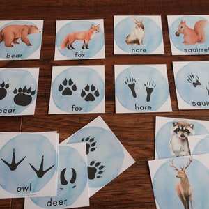 Winter Woodland Animal Tracks Flashcards. Montessori Winter Printable ...