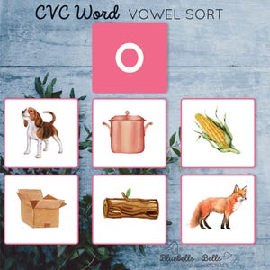 CVC Word Sort Vowel. CVC Word Printable Chart With Pictures. - Etsy
