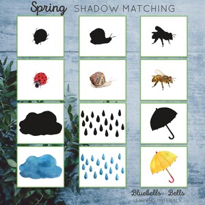 Spring Shadow Matching Cards. Montessori Printable. - Etsy
