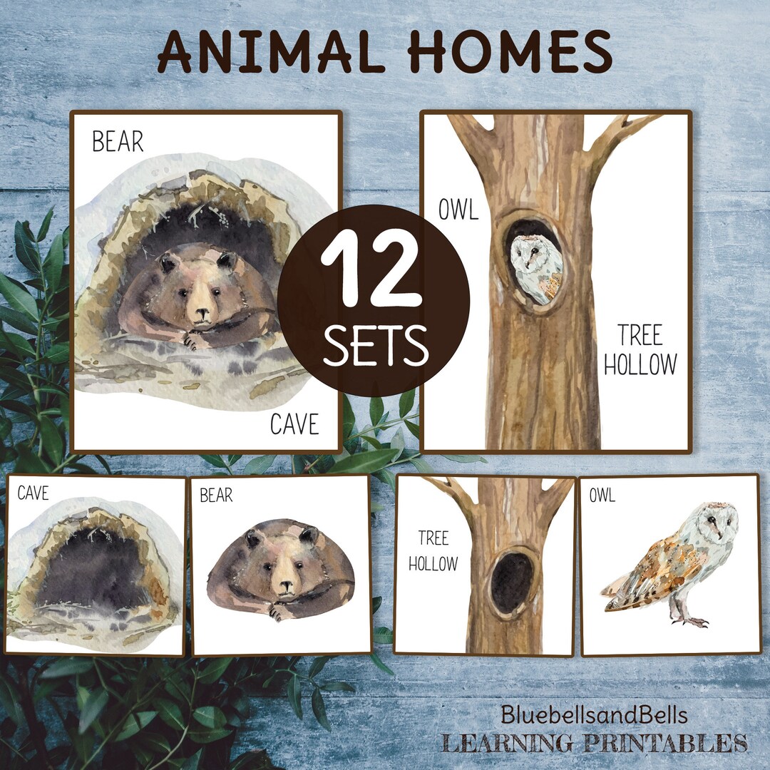 Animal Homes Cards and Matching Activity. - Etsy