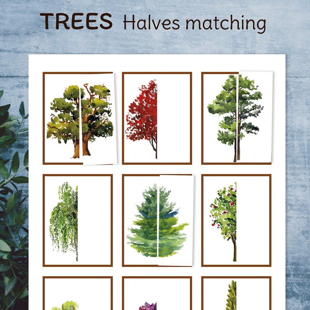 Toddler Puzzle Trees Halves Matching. Montessori Printable Busy Book ...