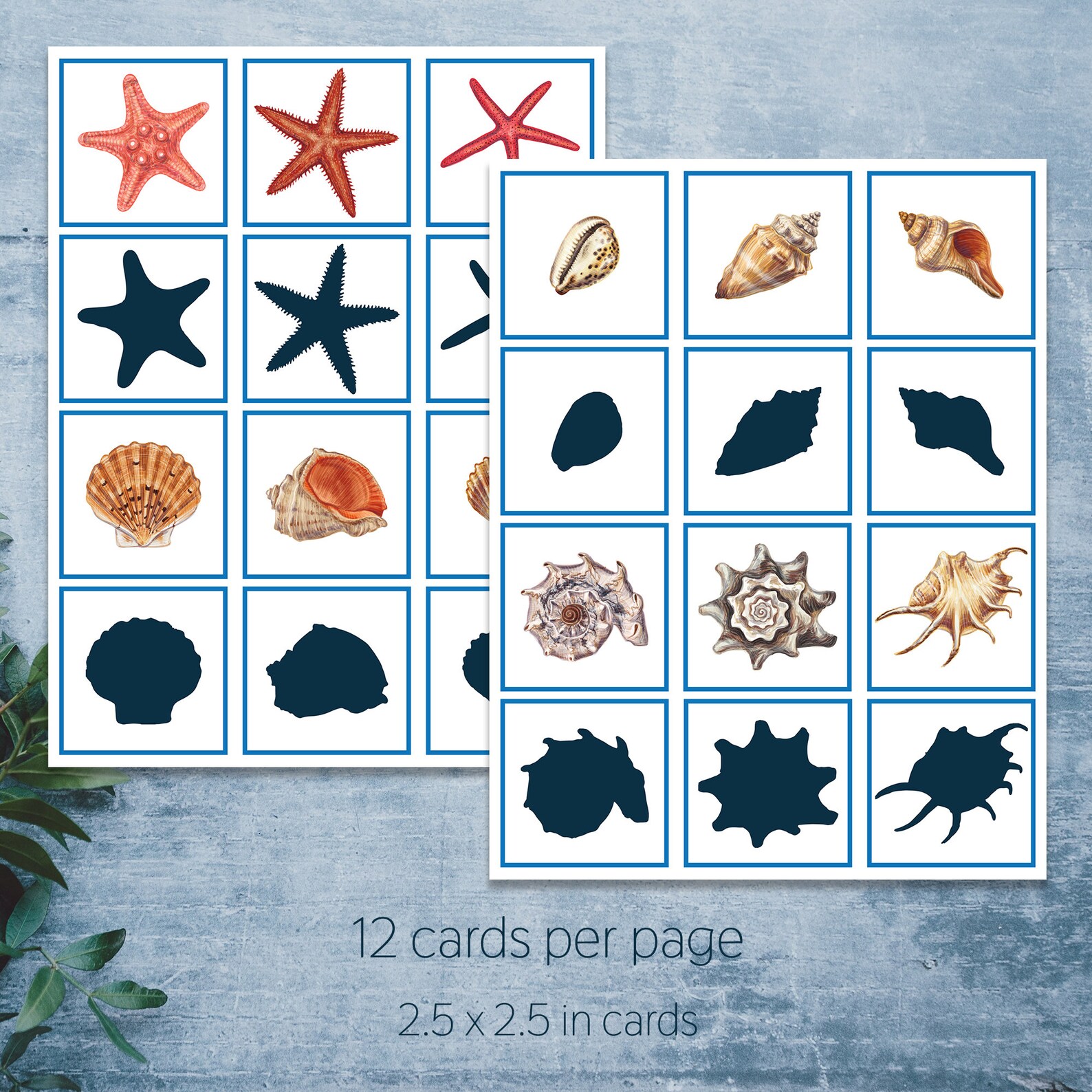 Seashell Shadow Matching Cards. Montessori Preschool Ocean Printable ...