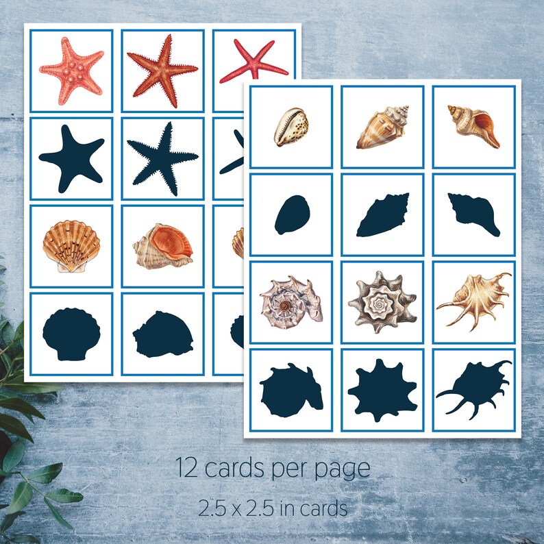 Seashell Shadow Matching Cards. Montessori Preschool Ocean | Etsy