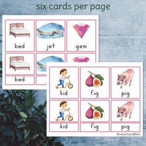 Montessori Printable CVC Phonics 3-part Cards. CVC Words Reading ...