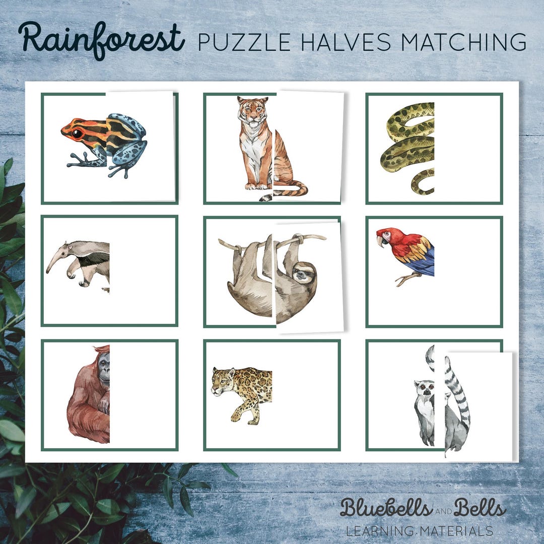 Rainforest Animals Puzzle Halves Matching. Montessori Toddler Printable ...