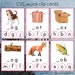 Phonics Printable CVC Word Clip Cards. Beginning Sound Printable ...