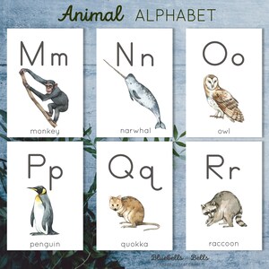 Animal Alphabet Cards. Watercolor Letter Flash Cards. Classroom ABC ...