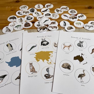 Animals of the Continents Posters and Sorting Activity. Montessori ...