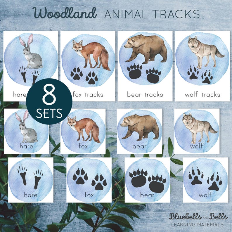 Winter Woodland Animal Tracks Flashcards. Montessori Winter Printable ...