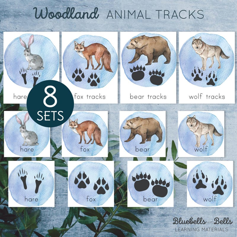 Animal Tracks - Etsy