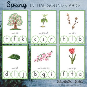 Spring Montessori Printable Phonics Clip Cards. Beginning Sound ...