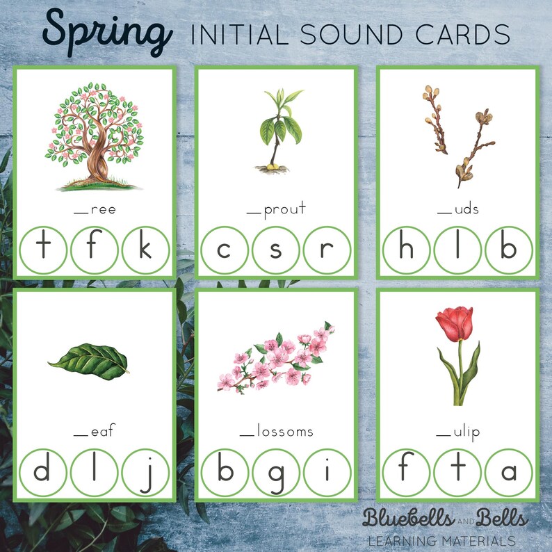 Spring Montessori Printable Phonics Clip Cards. Beginning Sound ...