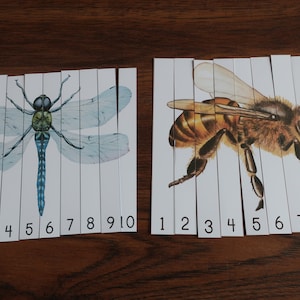 Insect Preschool Printable Number Sequence Puzzles 1-10. Montessori ...