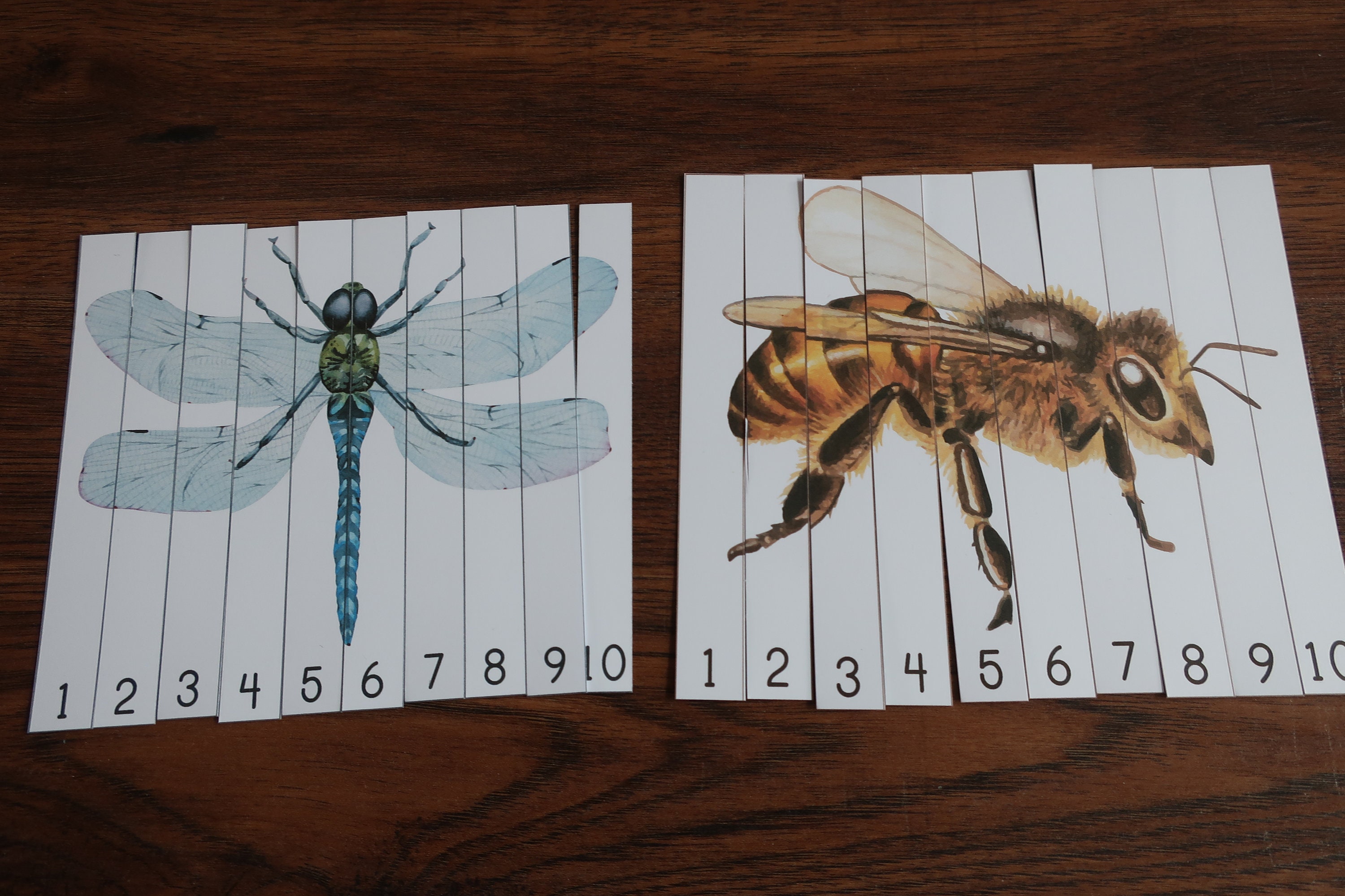 Insect Preschool Printable Number Sequence Puzzles 1-10. Montessori ...