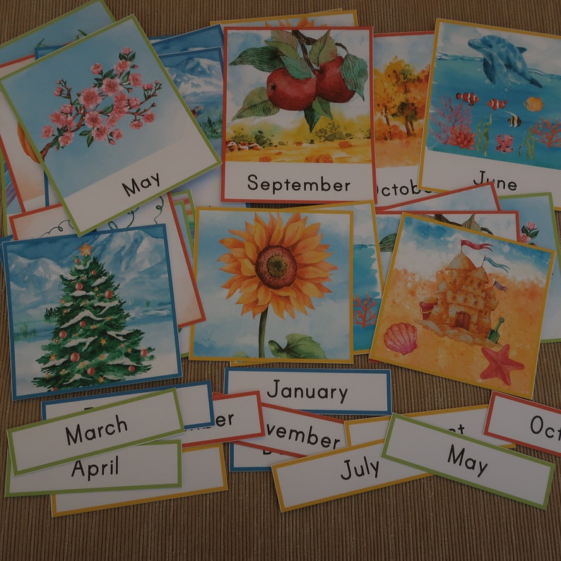 Months of the Year Montessori Printable Three Part Cards. - Etsy