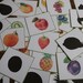 Fruit Shadow Matching Cards. Montessori Preschool Printable. Toddler ...