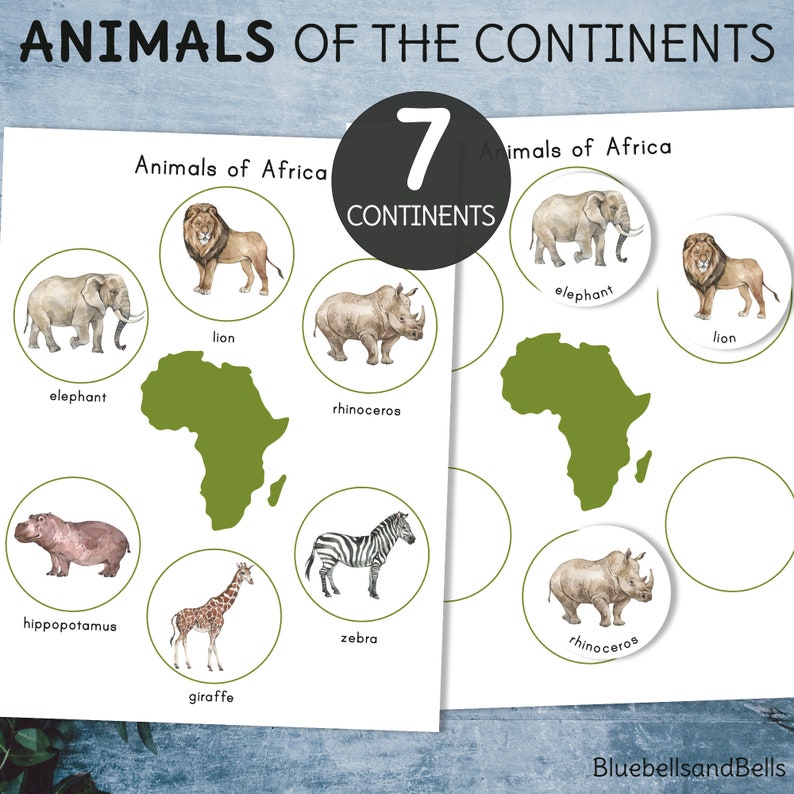 Animals of the Continents Posters and Sorting Activity. - Etsy