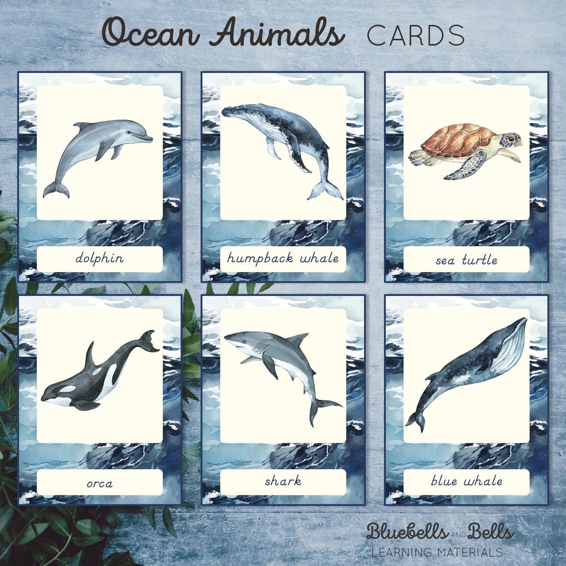 Printable Ocean Animals Flashcards for Toddlers and Preschoolers. - Etsy