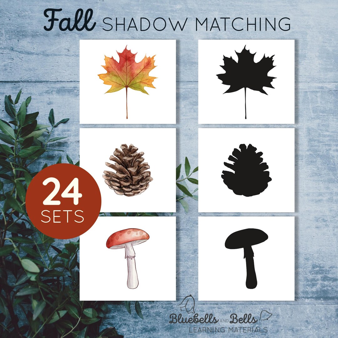 Autumn Shadow Matching Montessori Printable. Fall Nature Activity ...