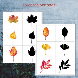 Autumn Shadow Matching Montessori Printable. Fall Nature Activity ...