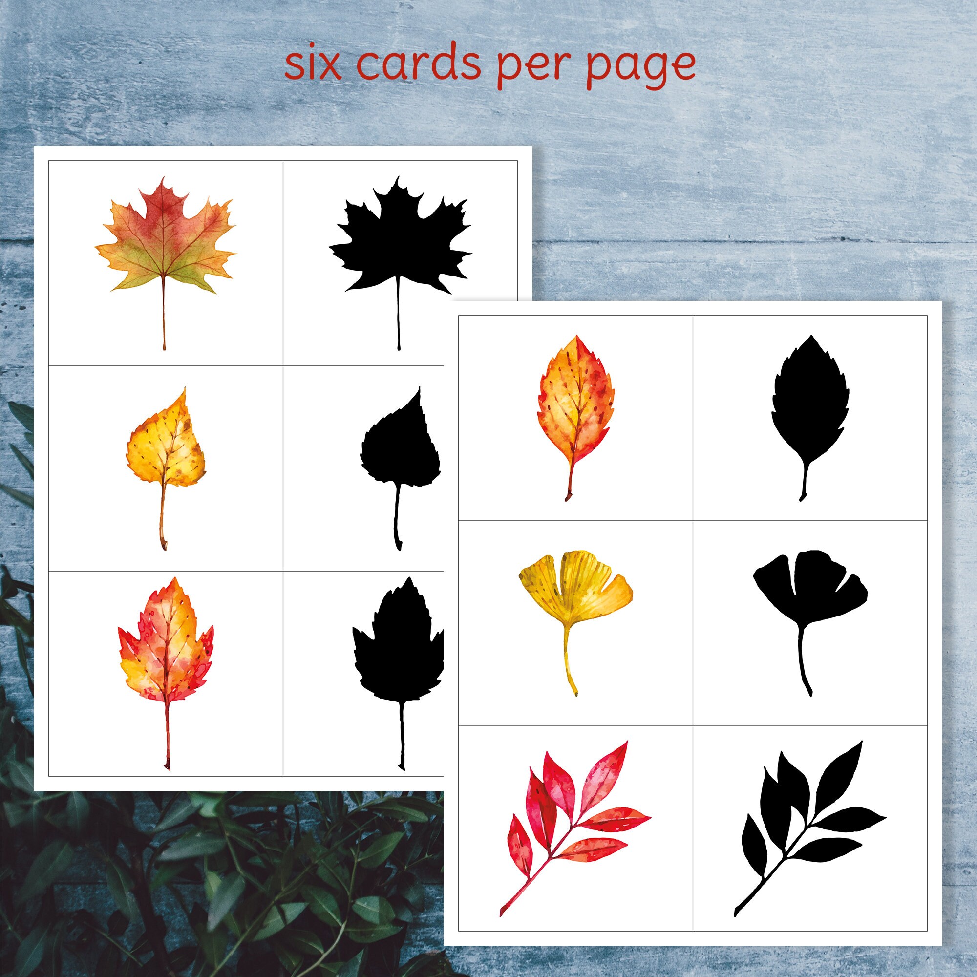 Autumn Shadow Matching Montessori Printable. Fall Nature - Etsy