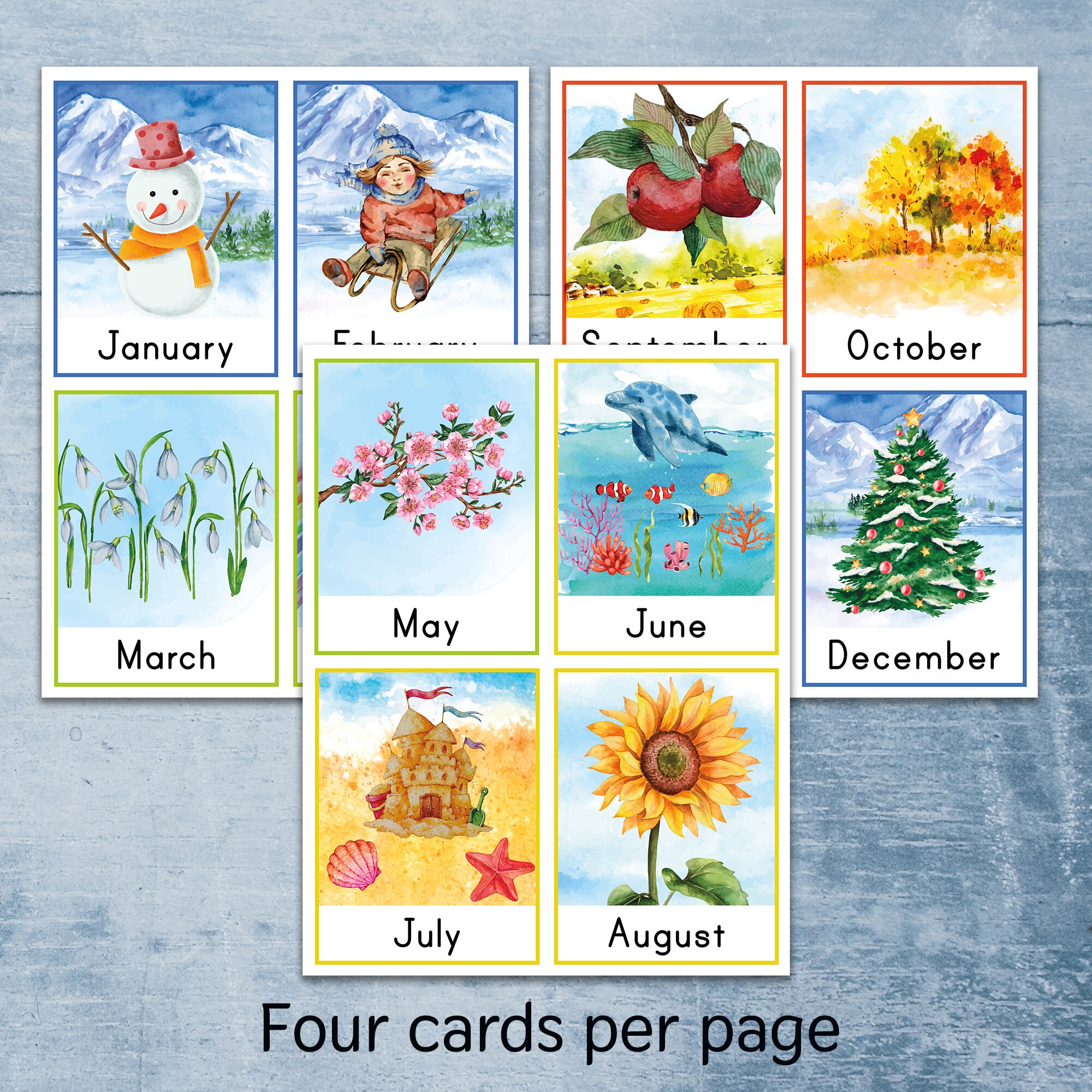 Months of the Year Cards and Poster. Digital Download. | Etsy