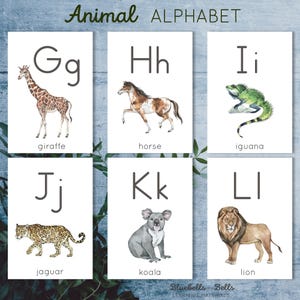 Animal Alphabet Cards. Watercolor Letter Flash Cards. Classroom ABC ...