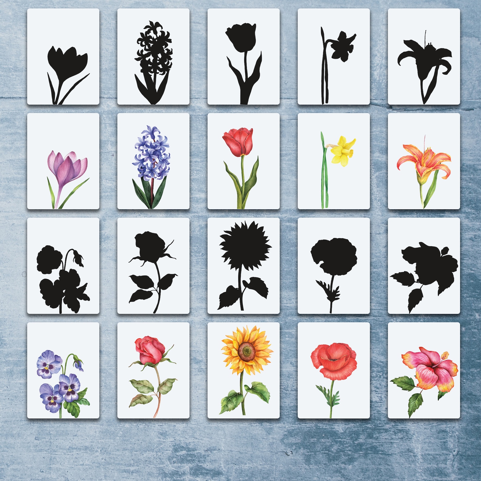 Flower Printable Shadow Matching Cards. Montessori Spring - Etsy