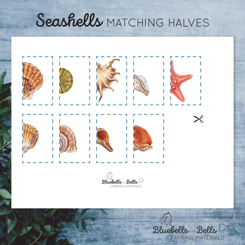 Toddler Summer Puzzle Seashells Halves Matching. Montessori Busy Book ...
