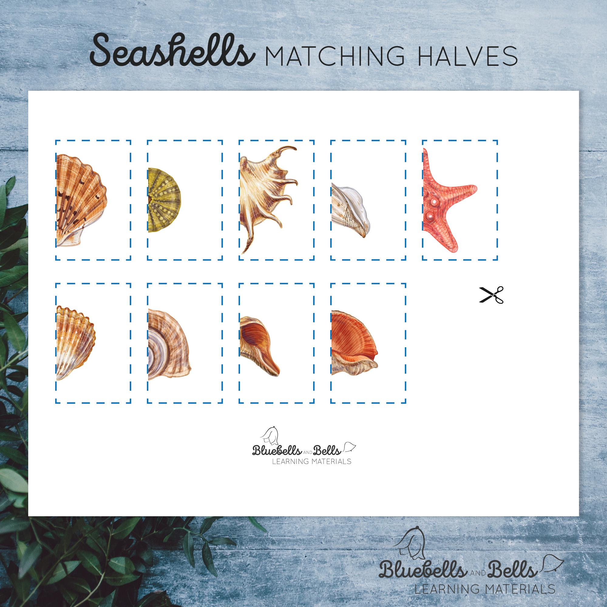 Toddler Summer Puzzle Seashells Halves Matching. Montessori Busy Book ...