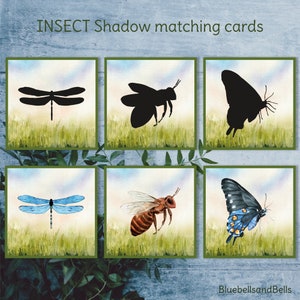 Insect Shadow Matching Cards. Montessori Pre-reading Printable for ...