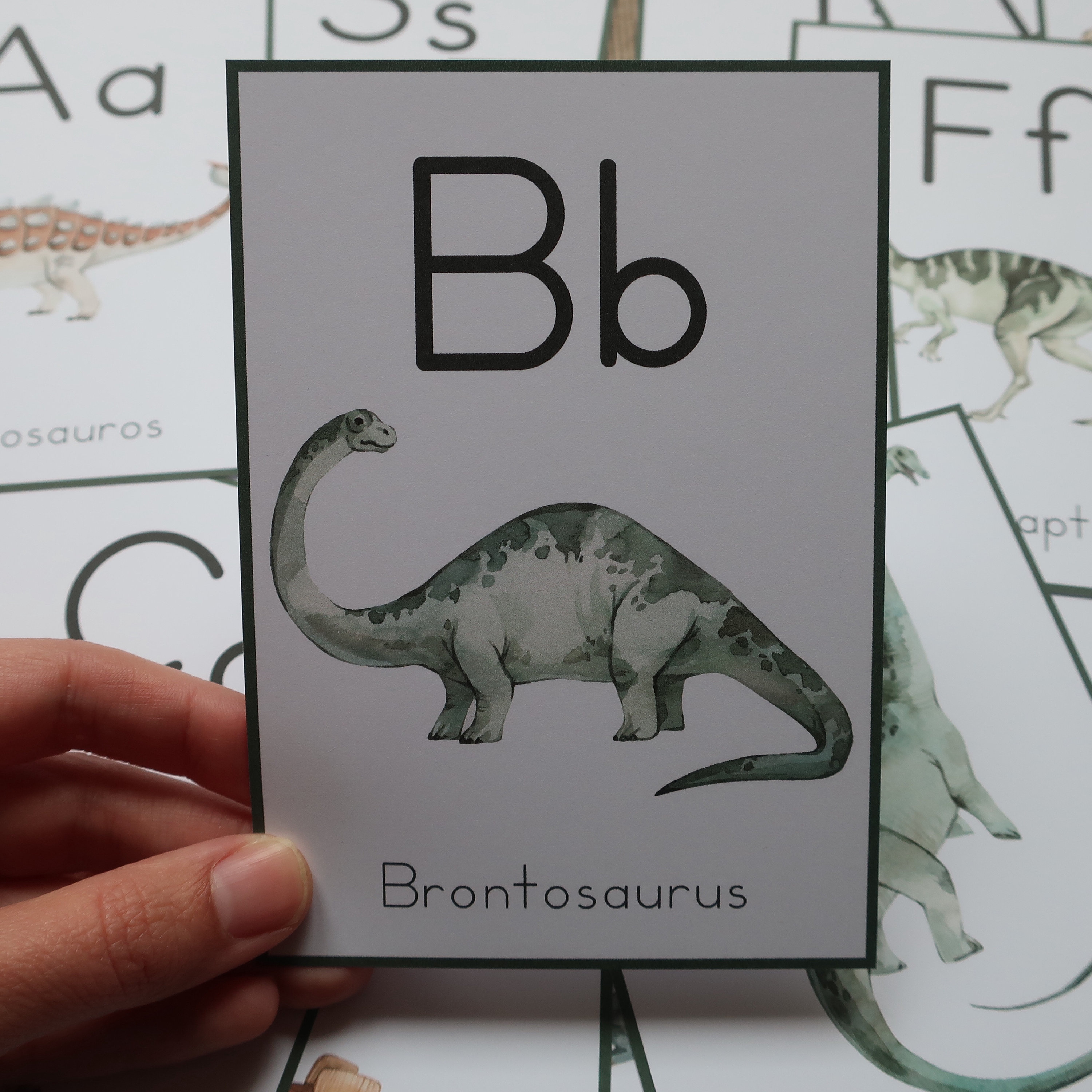 Dinosaur Alphabet Flashcards. Watercolor Letter Cards. Kids | Etsy UK