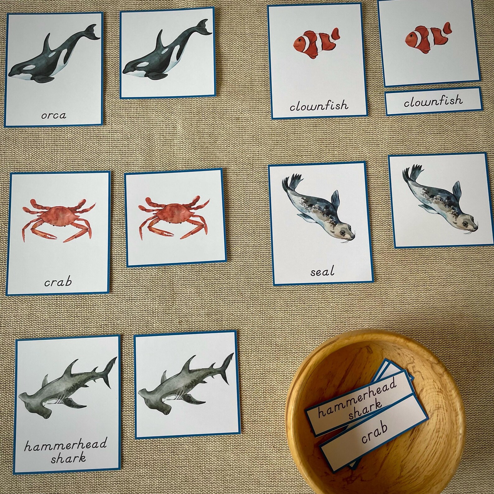 Ocean Montessori Printable 3 Part Cards. Preschool Vocabulary Cards ...