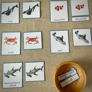 Ocean Montessori Printable 3 Part Cards. Preschool Vocabulary Cards ...