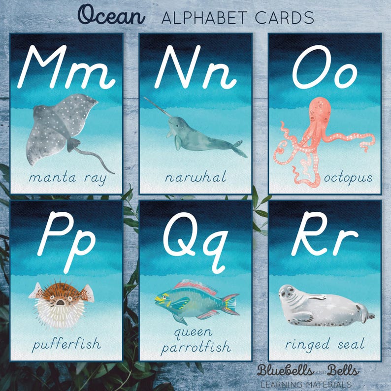 Ocean Alphabet Cards. Sea Animals Letter Cards. - Etsy