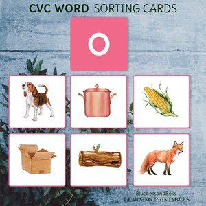 CVC Word Sort Vowel. CVC Word Printable Chart With Pictures. - Etsy