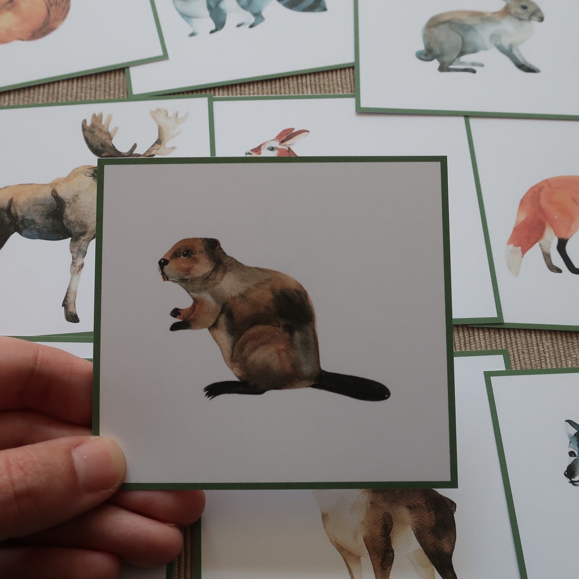 Woodland Animal Montessori Printable Shadow Matching Cards. | Etsy