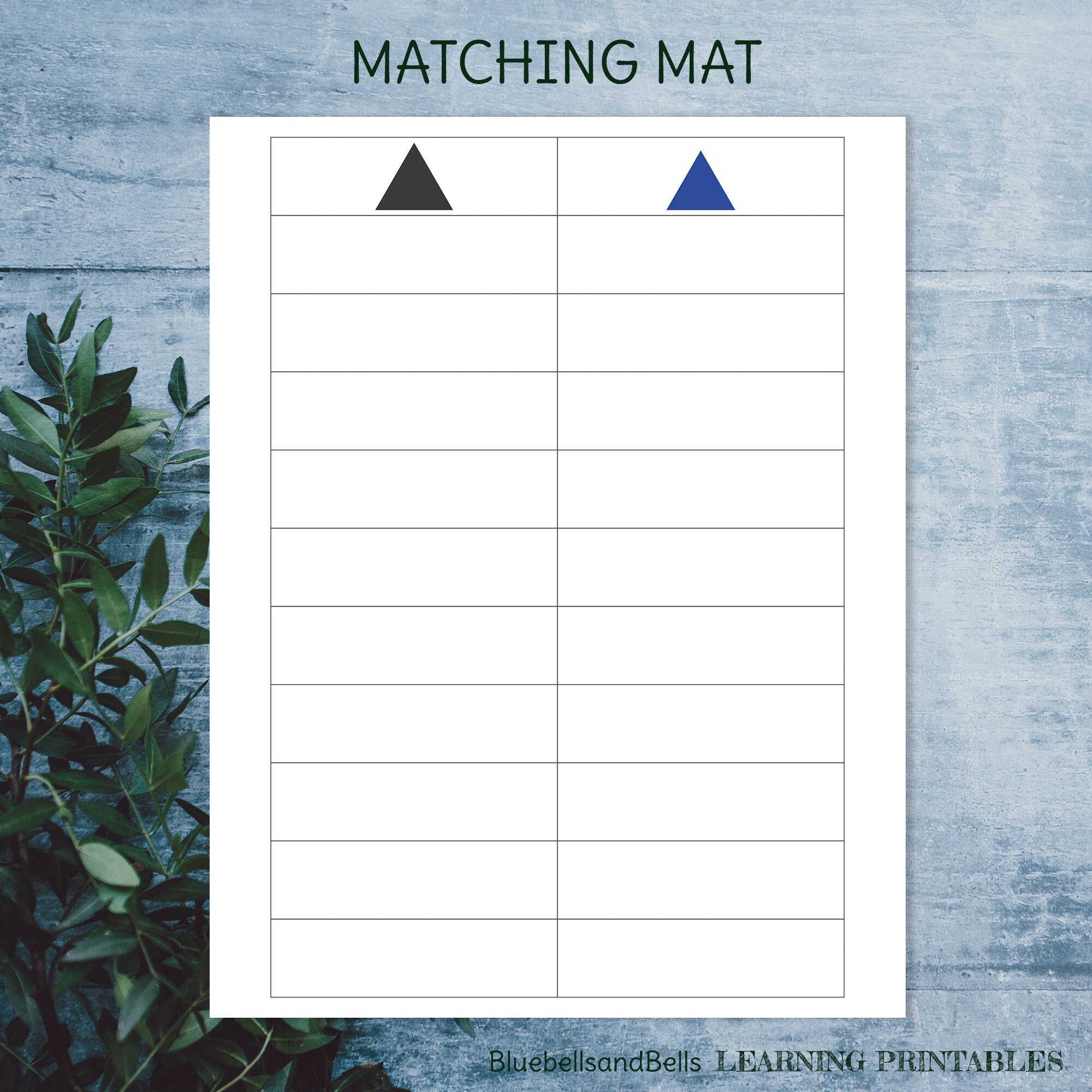 Montessori Parts of Speech Noun and Adjective Sorting Activity. Grammar ...
